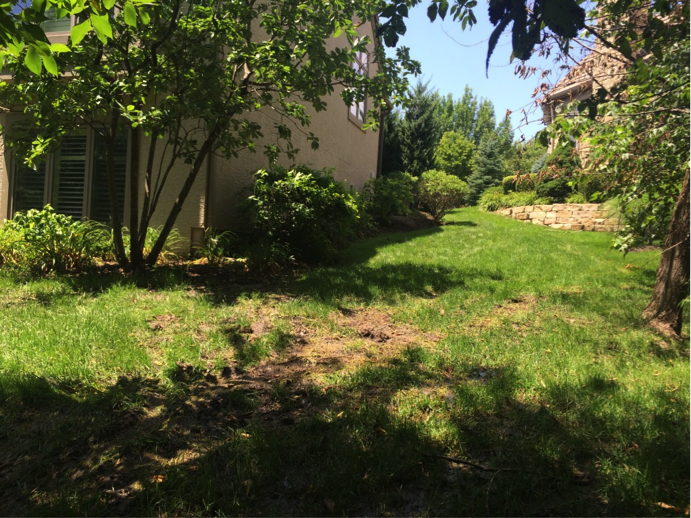 Creating a Leawood Rain Garden