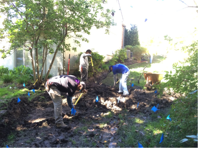 Creating a Leawood Rain Garden